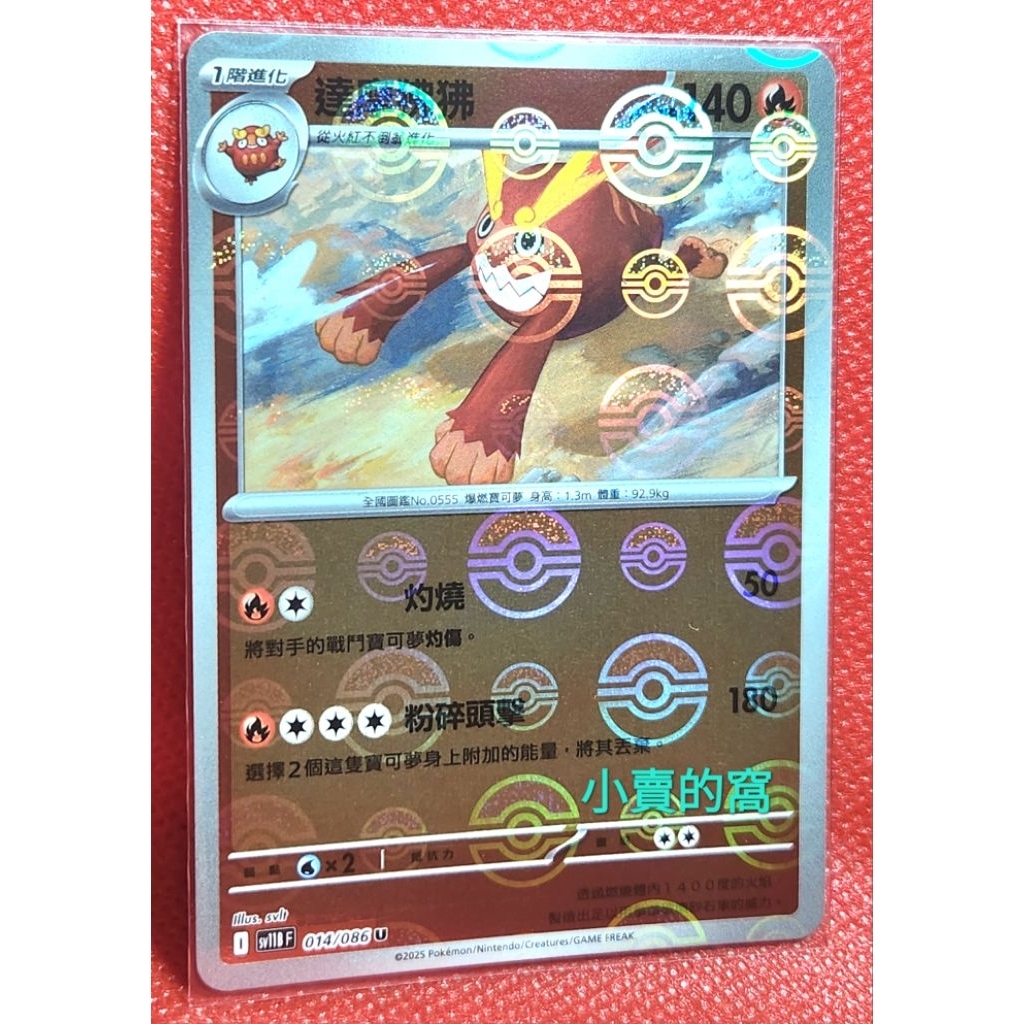 ♠︎小賣的窩♠︎ 寶可夢 PTCG 中文版 漆黑伏特 球閃 sv11B 014/086 達摩狒狒 | 蝦皮購物