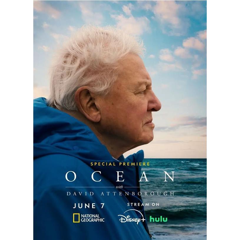 🔥藍光影片🔥 [英] 大衛·愛登堡：海洋 / 遨遊深海 David Attenborough: Ocean (2025) | 蝦皮購物
