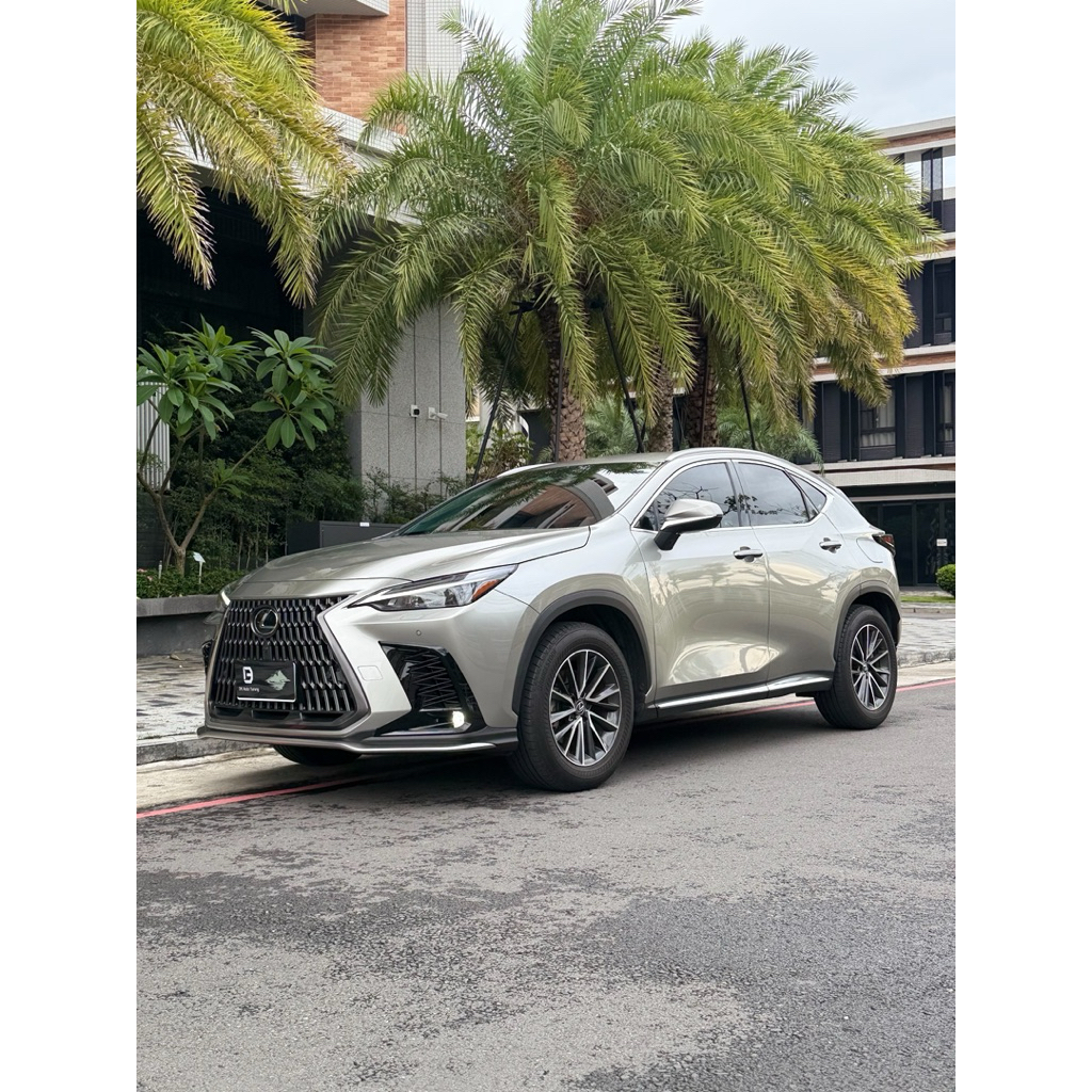LEXUS 日本原廠 2022 NX200 NX250 NX350 Fsport 面罩 下巴 | 蝦皮購物