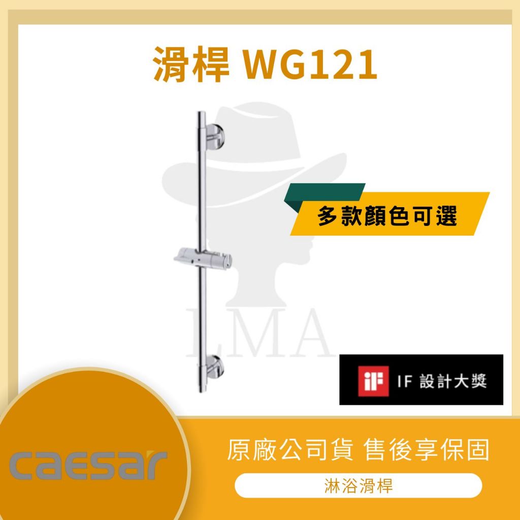 【LMA-凱撒衛浴】★林口新創★CAESAR 不鏽鋼 淋浴 滑桿 WG121蓮蓬頭架 浴室 升降桿 多色可選 | 蝦皮購物
