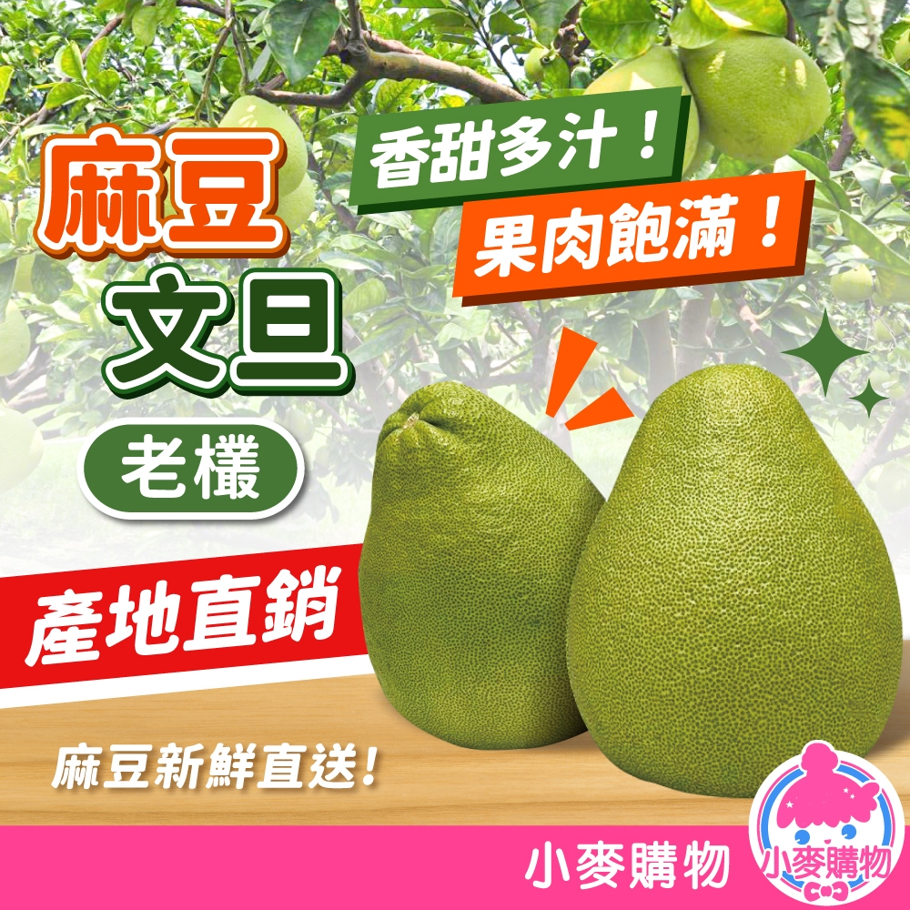 麻豆 老欉文旦 10台斤 40年 60年老欉 優質 文旦 柚子 嚴選 伴手禮送禮 麻豆【小麥購物】【F035】 | 蝦皮購物