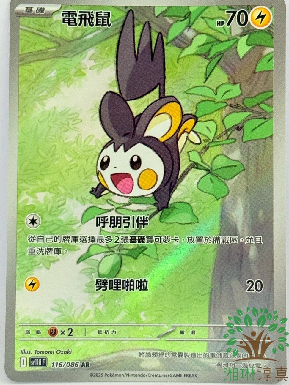 【湘琳淳真】寶可夢 PTCG 電飛鼠 AR SV11B 116 全圖 閃卡 漆黑伏特 中文 正版 卡牌 | 蝦皮購物
