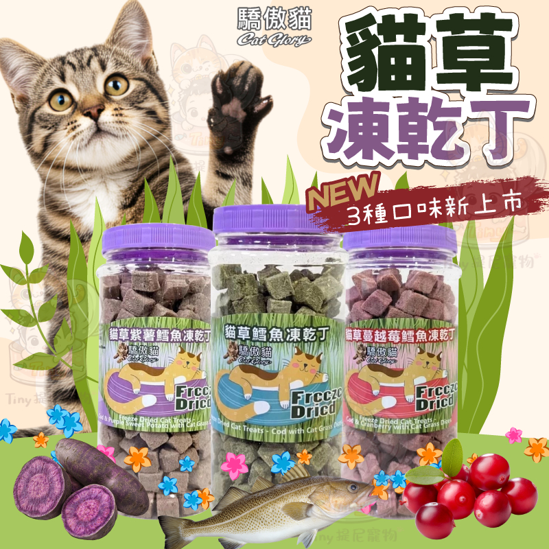 💫提尼寵物💫【Cat Glory 驕傲貓】貓草凍乾丁罐裝80g 凍乾 貓零食 貓草凍乾 凍乾零食 貓草零食 寵物凍乾 | 蝦皮購物