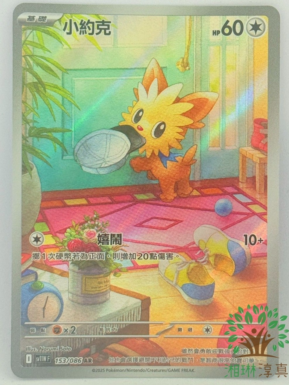 【湘琳淳真】寶可夢 PTCG 小約克 AR SV11W 153 全圖 閃卡 純白閃焰 中文 正版 卡牌 | 蝦皮購物