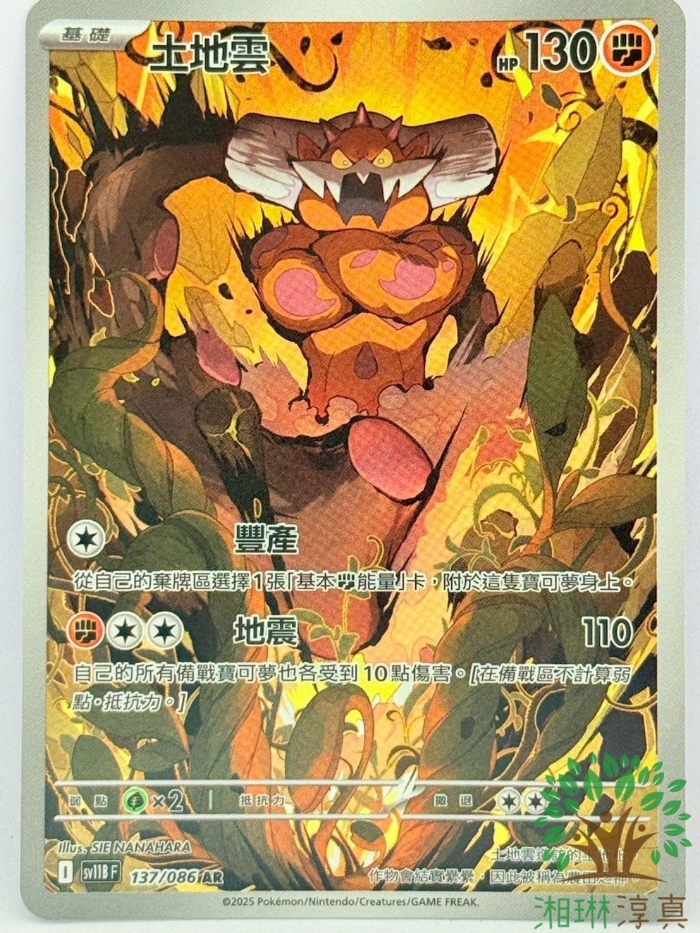 【湘琳淳真】寶可夢 PTCG 土地雲 AR SV11B 137 全圖 閃卡 漆黑伏特 中文 正版 卡牌 | 蝦皮購物