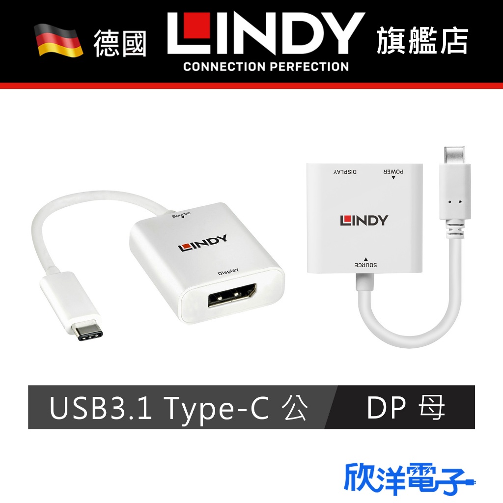 LINDY林帝 TYPE-C to DP 主動式 USB3.1 C公 To DP母 帶PD功能 43289 43245 | 蝦皮購物