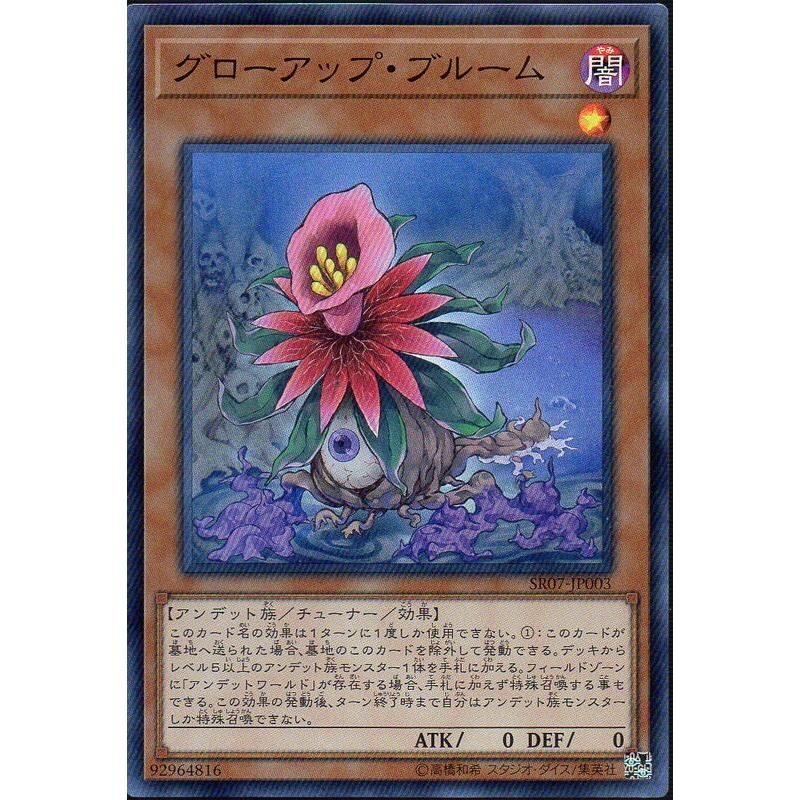 (流天遊戲王) 特價 正刻 SR07-JP003 成長花朵 (亮面) | 蝦皮購物