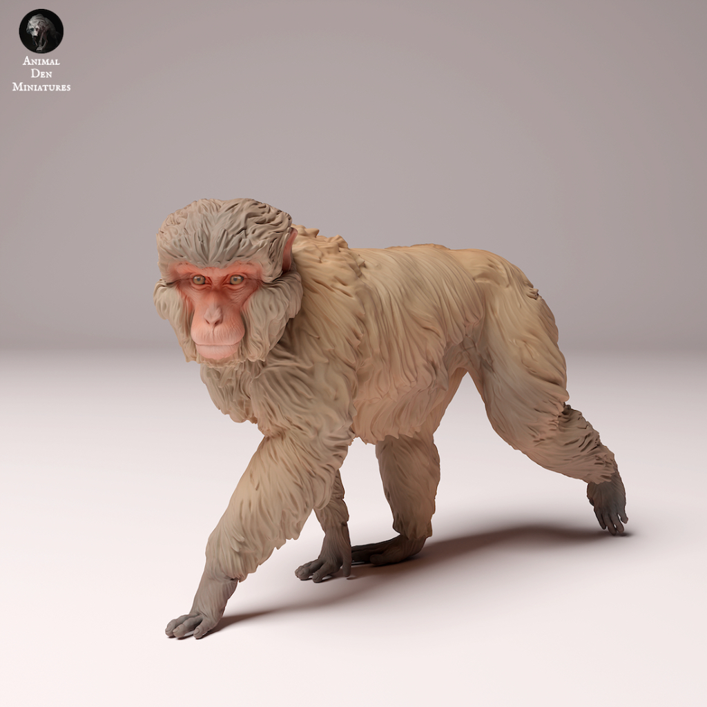 Tazo工坊[AD] 日本獼猴pose1(走路)Snow Monkey(Macaca fuscata) 3D列印模型JW | 蝦皮購物