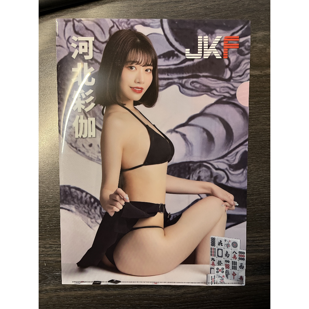 便宜賣全新品！2024 TSE 臺灣寫真博覽會寫真展成人展 河北彩伽 河北彩花 資料夾 file夾 未拆封JKF TRE | 蝦皮購物