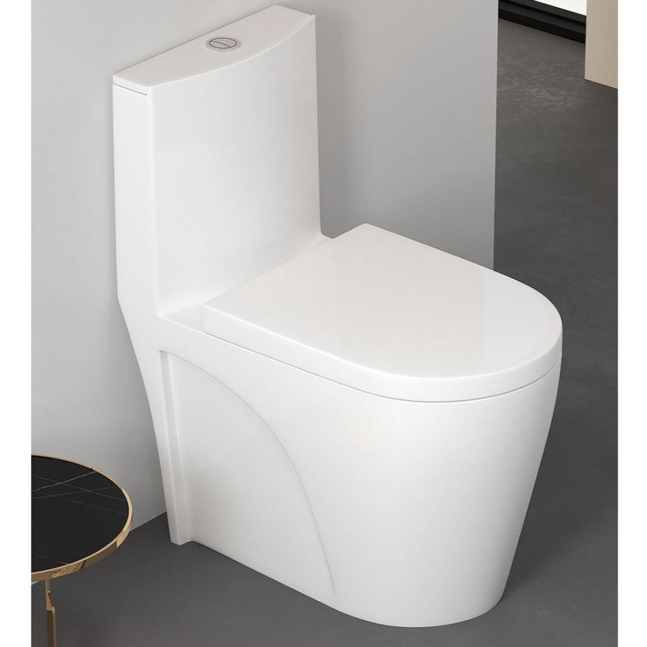 【C-510單體壁排馬桶】單孔無後顧之憂!#同TOTO水箱零件國際大廠WDI#水龍捲#單體馬桶#智潔釉# | 蝦皮購物