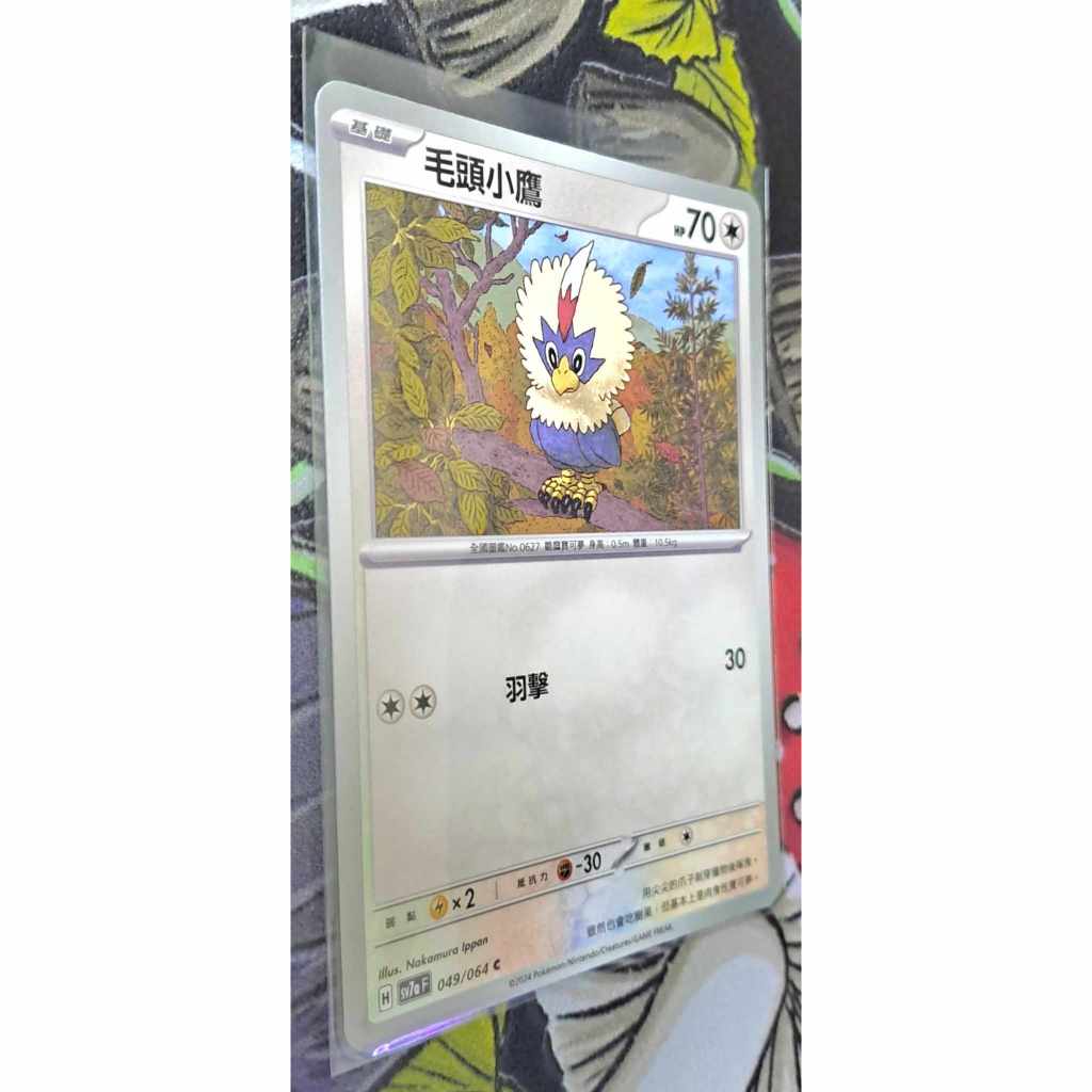寶可夢 中文卡牌 PTCG 毛頭小鷹 sv7a F 049/064 C | 蝦皮購物