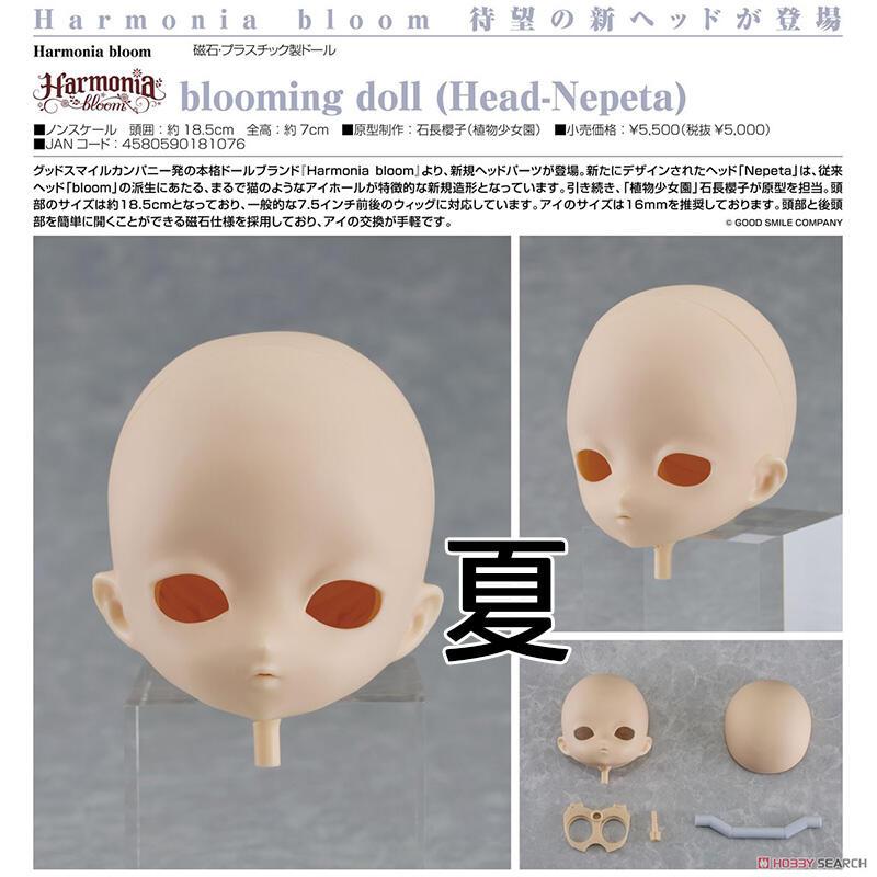 《夏本舖》日版 GSC Harmonia bloom blooming doll root Head-Nepeta 頭部 | 蝦皮購物
