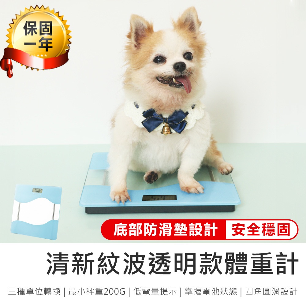 【KINYO 清新紋波透明款體重計 DS-6561】電子秤 體重計 電子磅秤 體重機 體重秤 透明款體重計 | 蝦皮購物