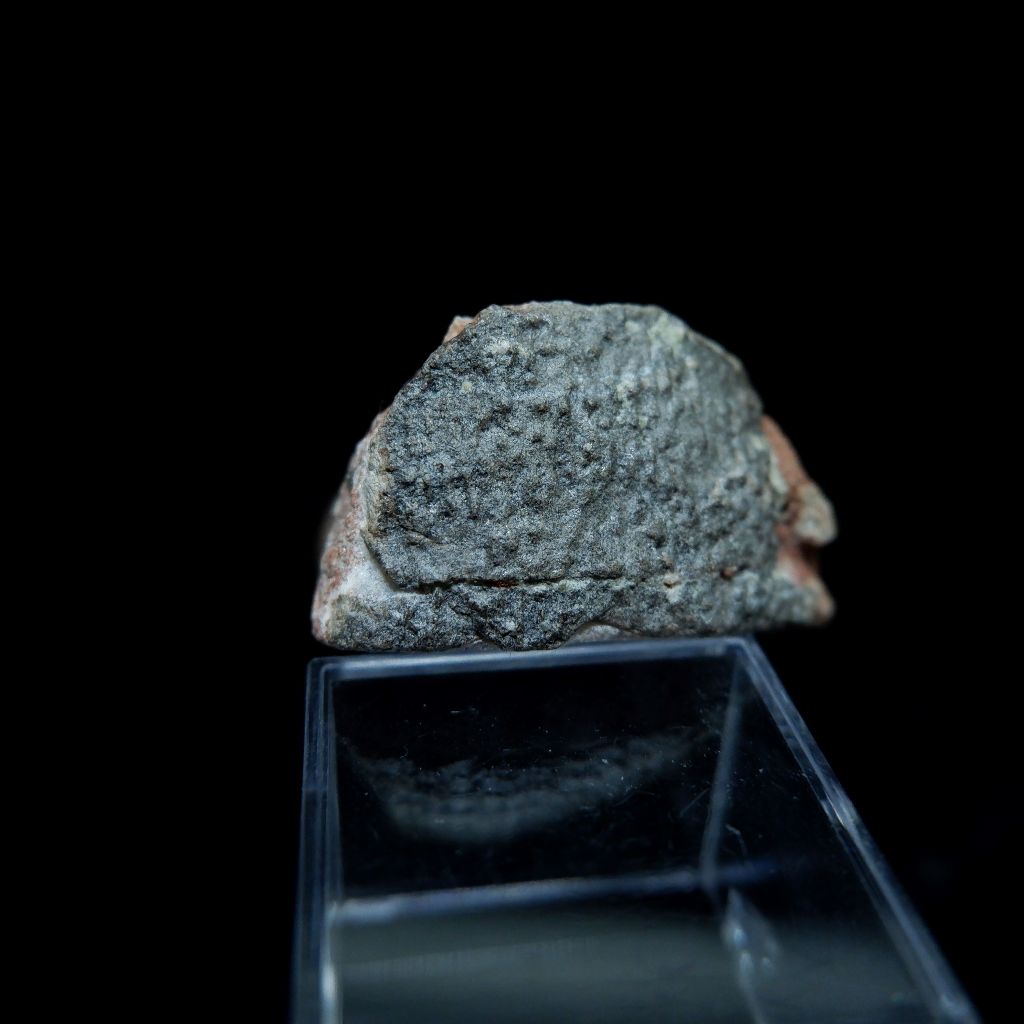 偷蛋龍蛋化石 竊蛋龍蛋化石 恐龍蛋化石 梓石此刻 Yewt (編號K) | 蝦皮購物