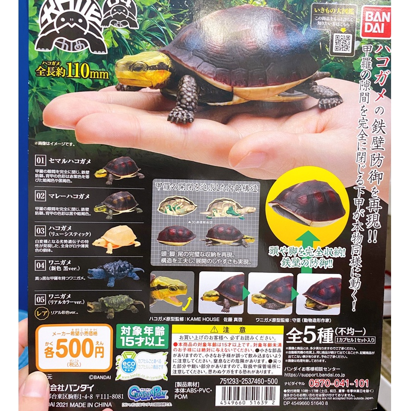 『Vic Toy』現貨 BANDAI 轉蛋 扭蛋 烏龜環保扭蛋 P4 4 食蛇龜篇 造型轉蛋 小全四款 動物 | 蝦皮購物