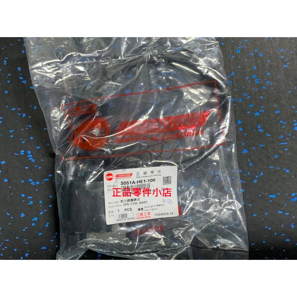 三陽正廠 HE1 點火線圈總成 摳A魯 噴射車 New Fighter 150 New Fighter ZR | 蝦皮購物