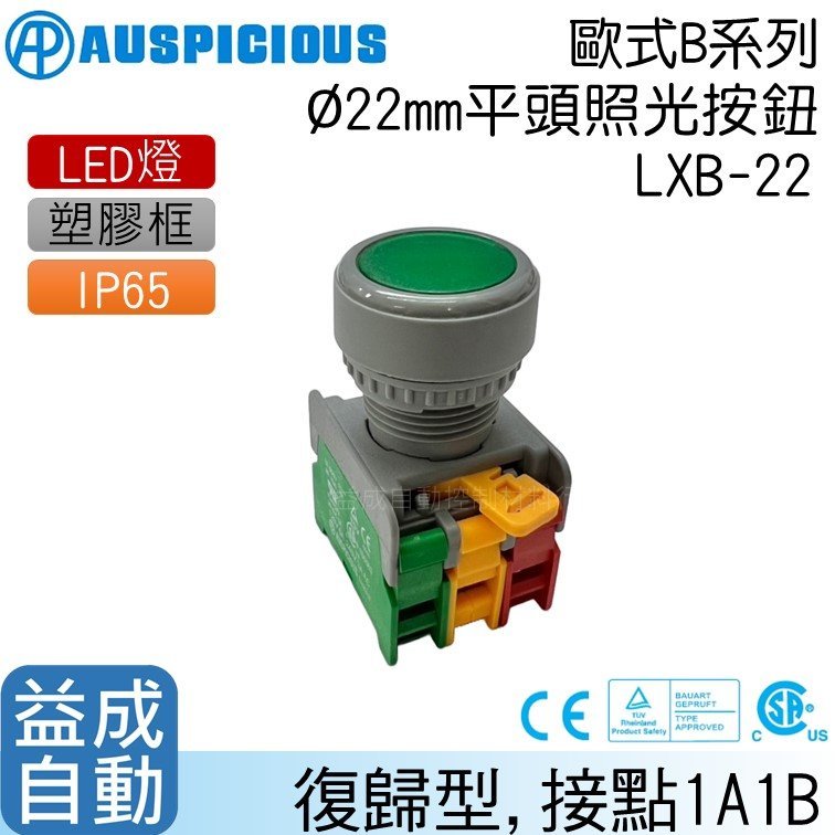 【AUSPICIOUS】Φ22平頭照光按鈕(LED燈)復歸型LXB-22(B系列) | 蝦皮購物