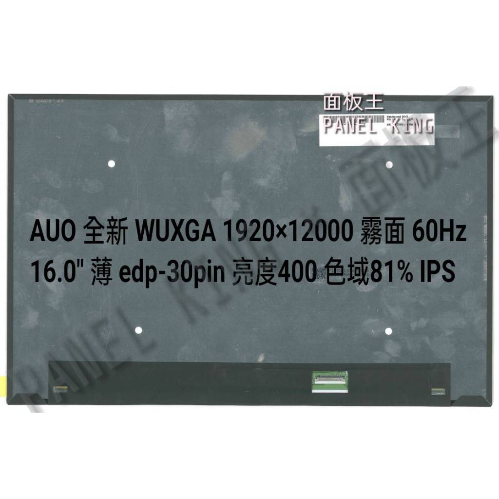 【面板王 x Panel King】B160UAN01.L全新A+ 霧面 WUXGA 亮度400 色域81% 筆電螢幕 | 蝦皮購物