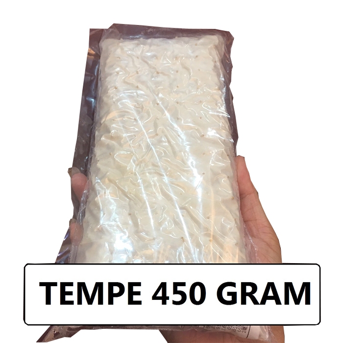Tempe Mentah 450 GR Makanan Frozen Beku | 蝦皮購物