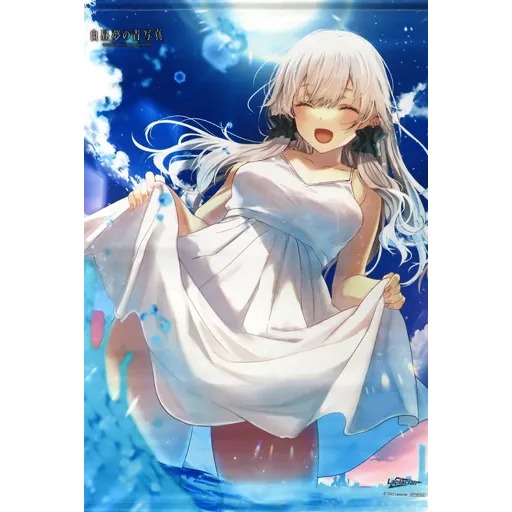 白日夢的構想圖 世凪 掛軸 B2 Switch 白昼夢の青写真 Sofmap 購入特典 | 蝦皮購物