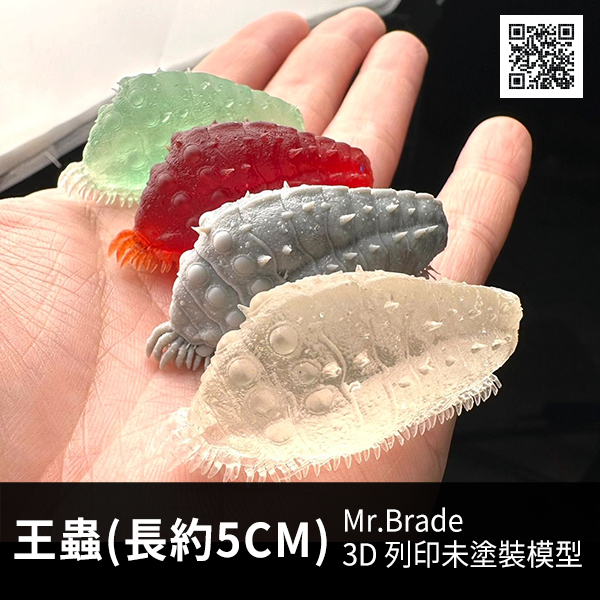 Mr.Brade 風之谷 王蟲(扭蛋大小)_3D列印未塗裝模型 （出清中） | 蝦皮購物