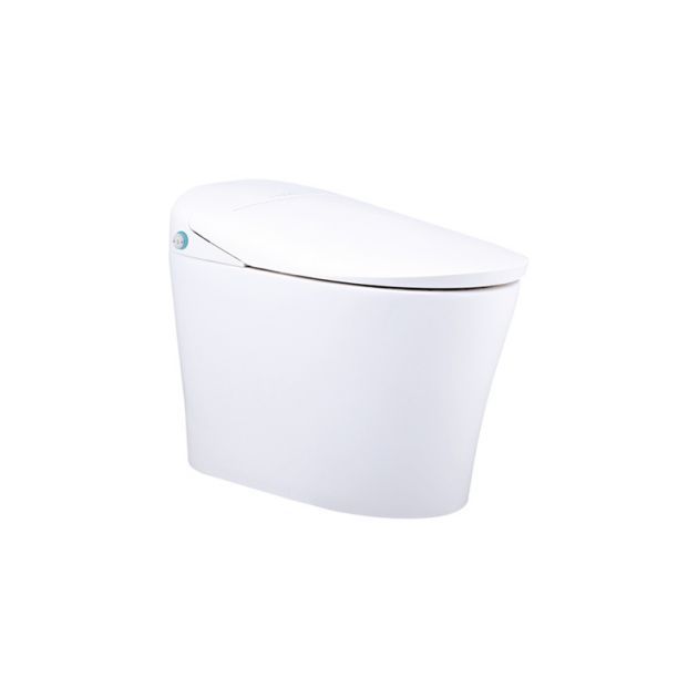 CAESAR 凱撒衛浴 智慧馬桶 CA1384 CA1384S 管距30公分 御洗數位馬桶 自動掀蓋 無線遙控 | 蝦皮購物