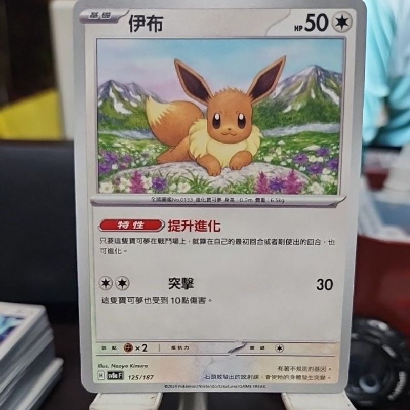 PTCG 寶可夢 中文版 伊布 svpn SV8a 008/008 | 蝦皮購物
