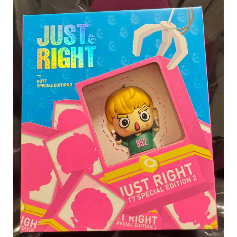 GOT7 Special Edition 2 迷你二輯 : JUST RIGH 公仔USB 專輯(Jackson) | 蝦皮購物