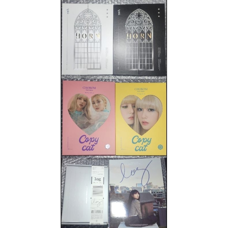 Apink HORN / 初普 COPYCAT / 鄭恩地 LOG 空專 | 蝦皮購物