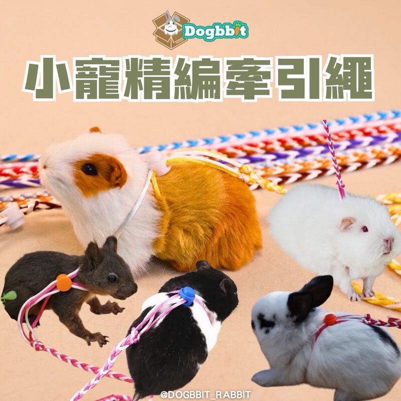 道格兔Dogbbit | 鼠兔外出牽繩 蜜袋鼯外出拉繩 牽繩 鼠牽繩 溜鼠繩 兔子牽繩 天竺鼠牽繩 外出牽繩 烏龜牽繩 | 蝦皮購物