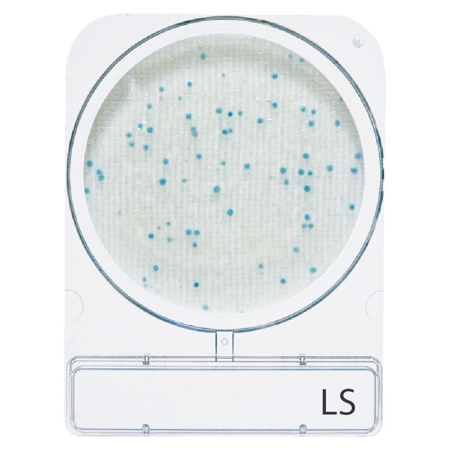 【Compact Dry LS 李斯特菌快檢片】 40片/10包 李斯特菌測試片 李斯特菌 檢驗 | 蝦皮購物