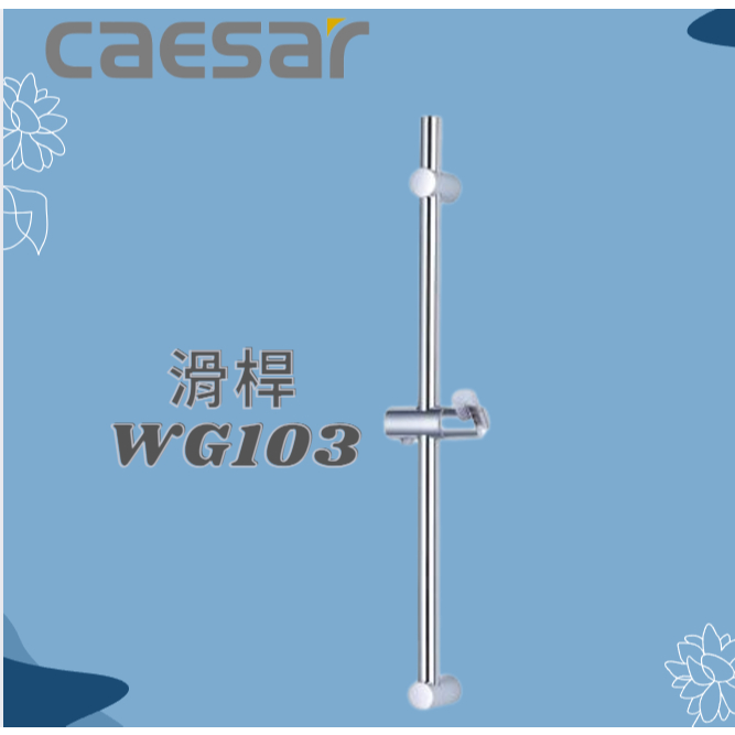 CAESAR 凱撒 ST主體 滑桿WG103 淋浴滑桿 不鏽鋼主體 不鏽鋼滑桿 | 蝦皮購物