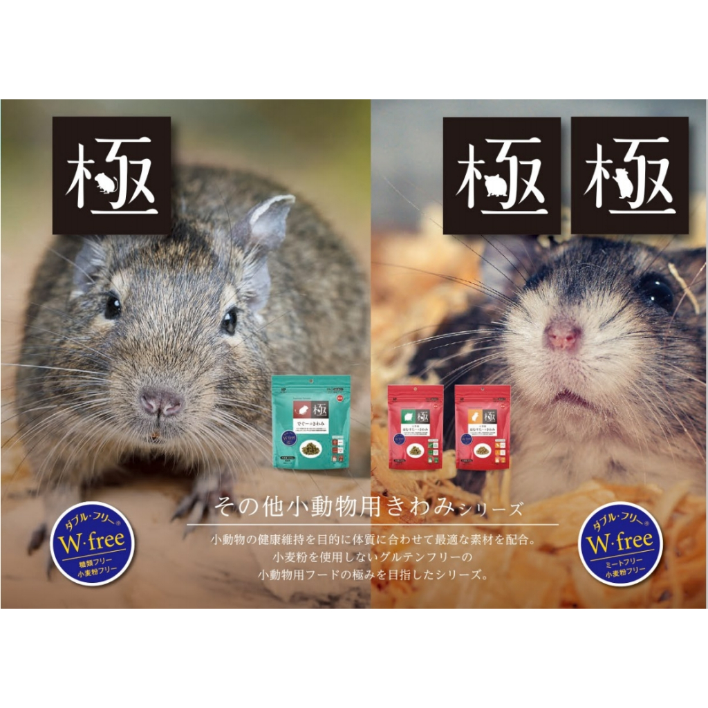 《胖頭龍批發工廠》HiPet-KIWAMI極-大型倉鼠飼料 小倉鼠飼料 愛沛 花枝鼠 倉鼠 飼料 主食 黃金鼠 三線鼠 | 蝦皮購物
