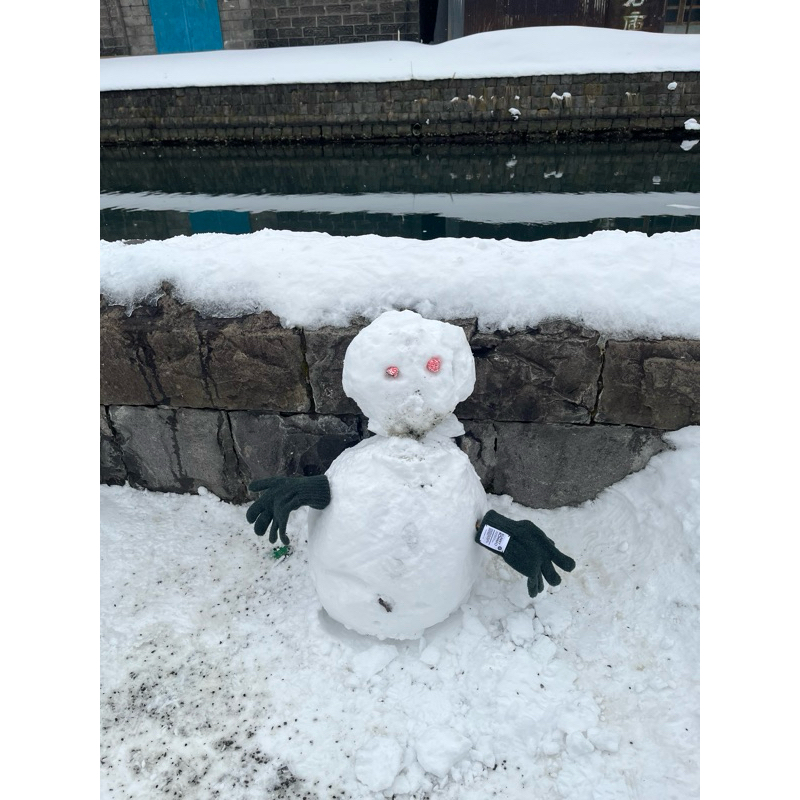 **現貨** Doshisha 日本 大猩猩 猩猩之握 小腿腳底按摩神器 bic camera gorilla | 蝦皮購物