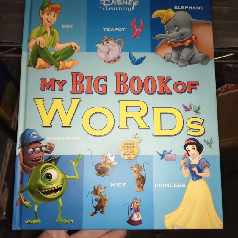 寰宇迪士尼美語 點讀大書 my big book of words 寰宇家庭 | 蝦皮購物