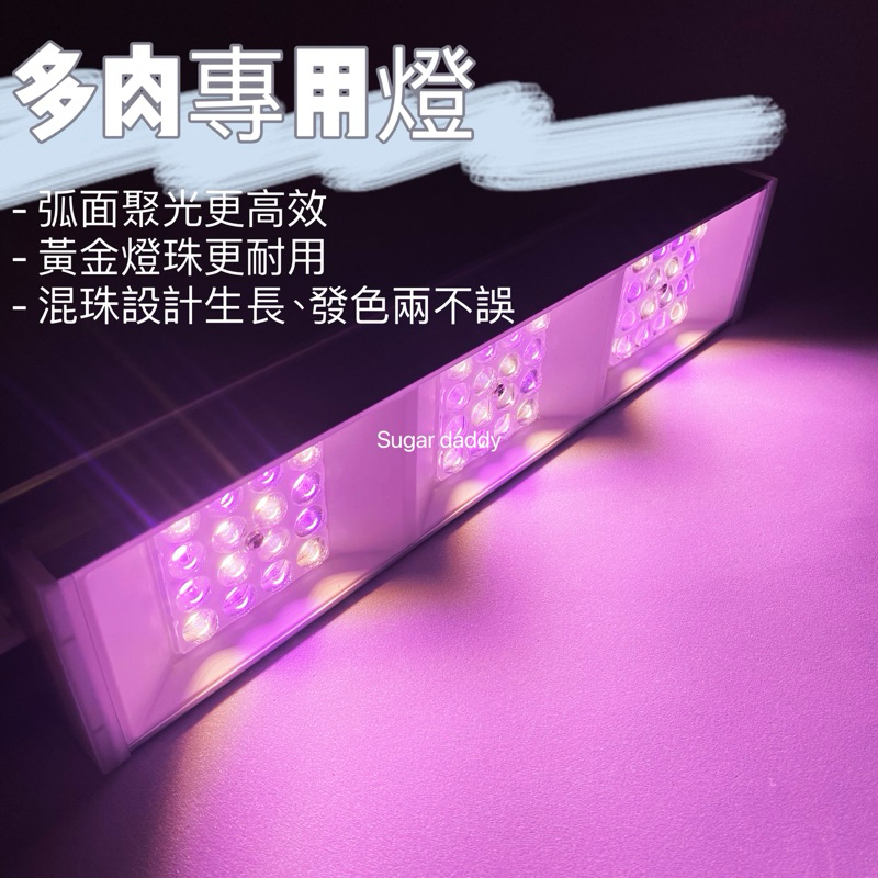 Sugar Daddy全光譜+植物燈PRO T8/T20 多肉 塊根 龍舌蘭 觀葉 鹿角蕨 上色防徒 燈管全光譜貴翔代工 | 蝦皮購物
