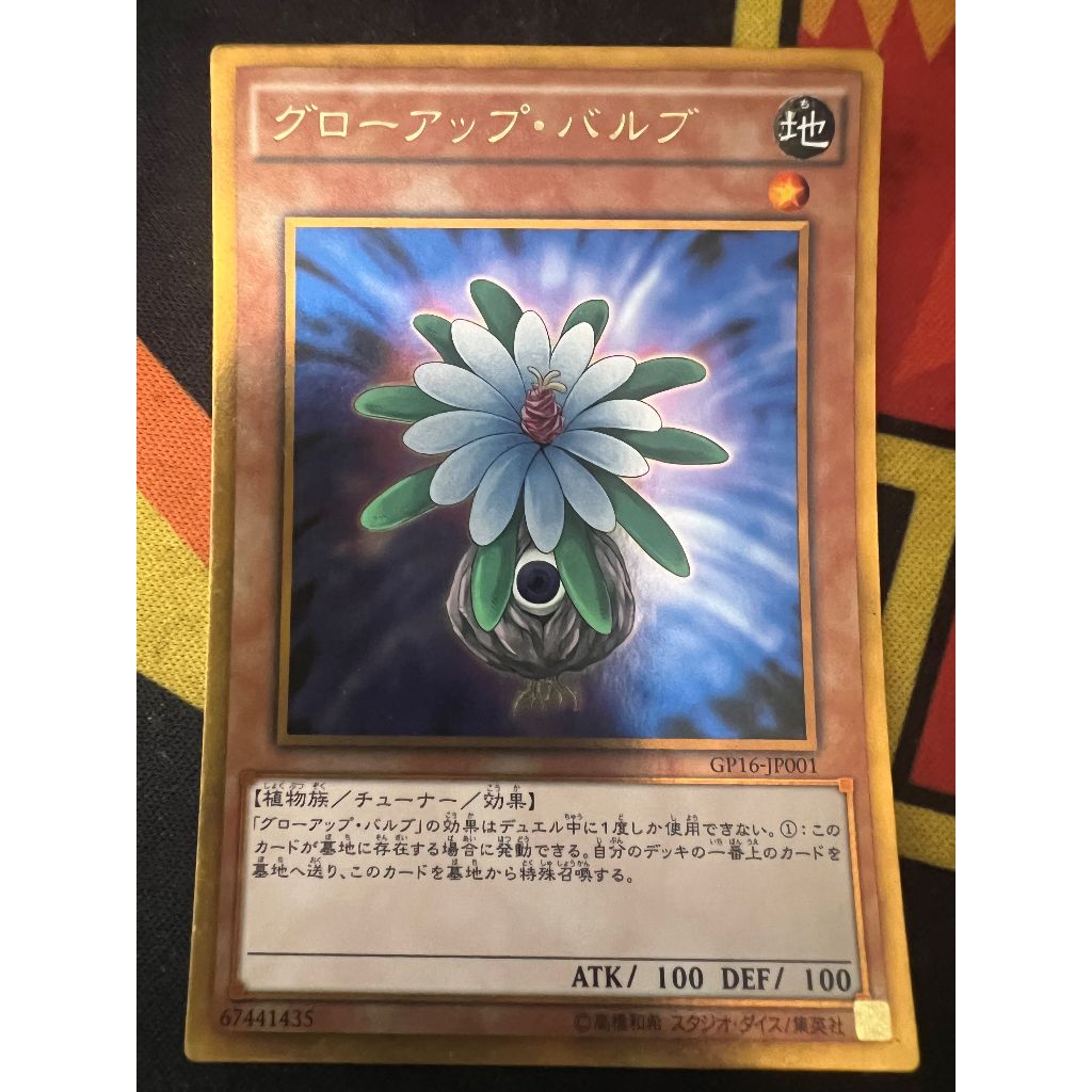 GP16-JP001 成長球莖(黃金) | 蝦皮購物