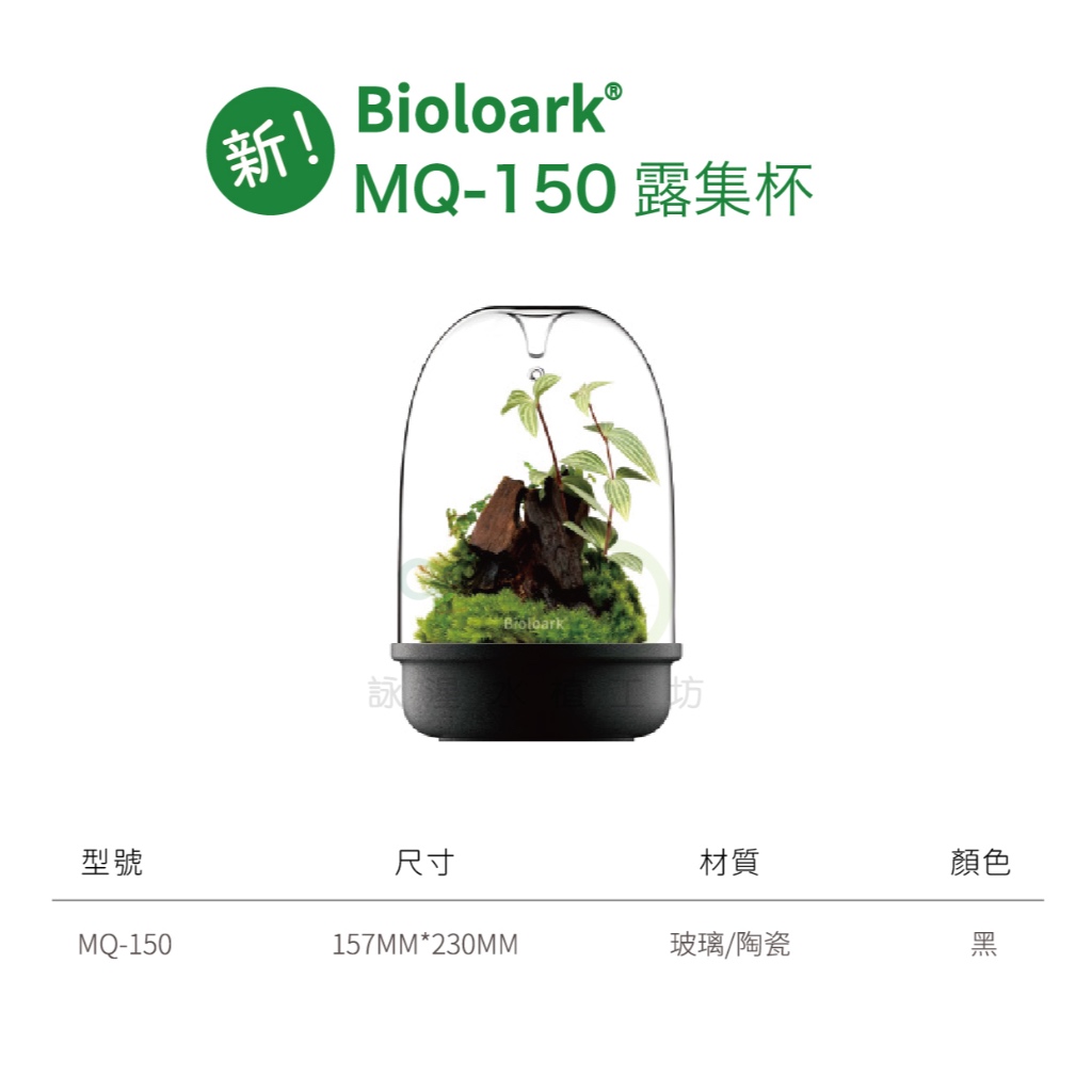 【詠湦水植工坊】Bioloark MQ150 露集杯 陶瓷底座｜生態瓶 微景觀 盆栽 | 蝦皮購物