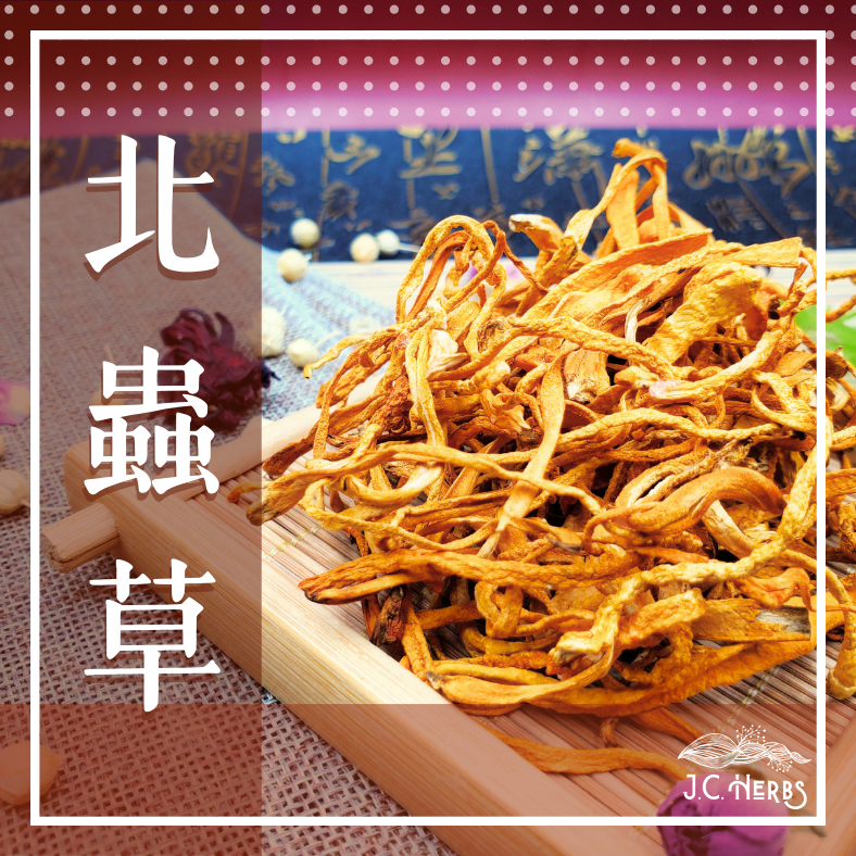 吉昌漢方｜黃金蟲草 北蟲草 適合煮湯 燉雞湯 火鍋 賣場全現貨 傳承老舖精神 中壢實體店面 | 蝦皮購物