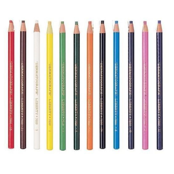 【SANDER】利百代LIBERTY紙捲油蠟筆(7600)｜12色、紙捲筆、油蠟筆、菜單筆、手撕蠟筆 | 蝦皮購物