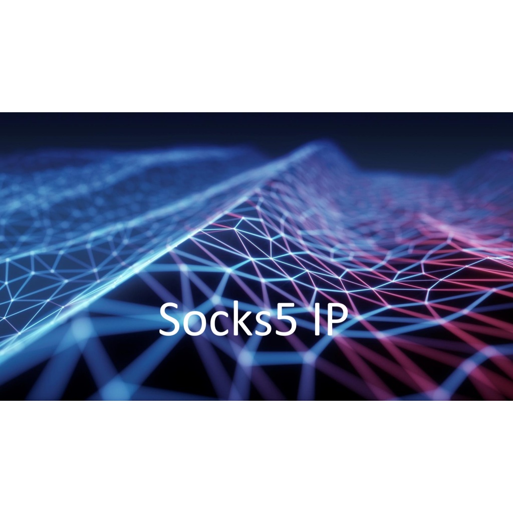遊戲多開IP SK5 IP Socks5 IP代理 中華電信IP Socks 5 IP最低每月60元 | 蝦皮購物