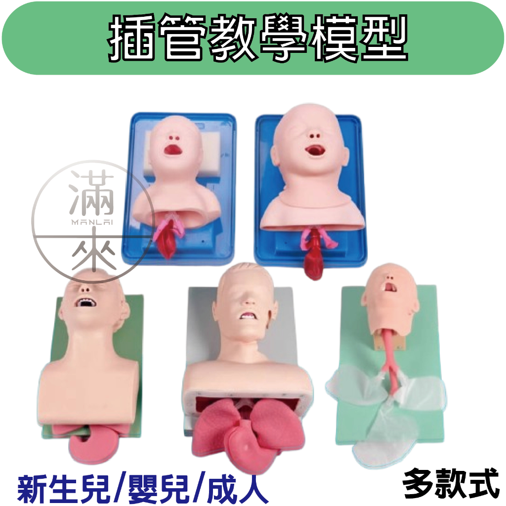 可開發票 新生兒 嬰兒 氣管插管訓練模型 ACLS ALS BLS LMA練習 插管練習 客滿來BMAI | 蝦皮購物