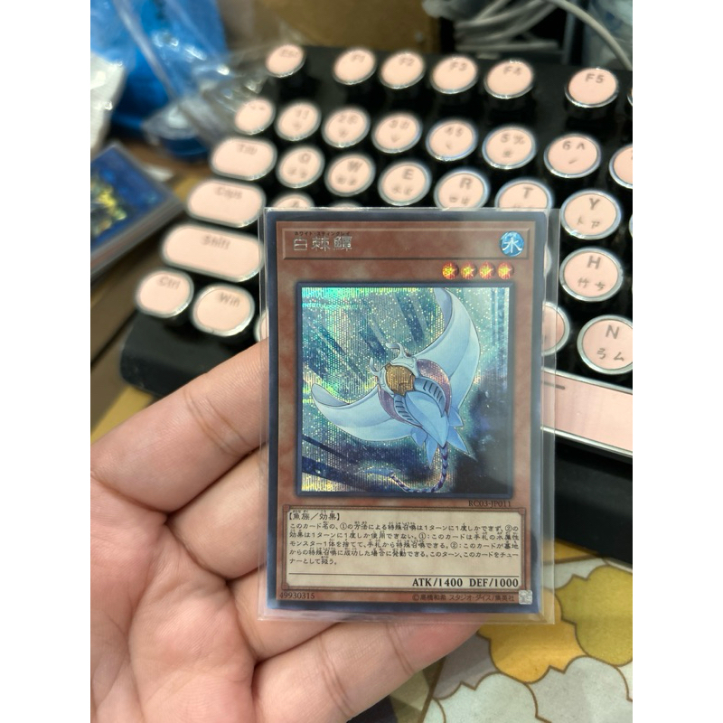 遊戲王 RC03-JP011 白棘鱏 (半鑽) | 蝦皮購物