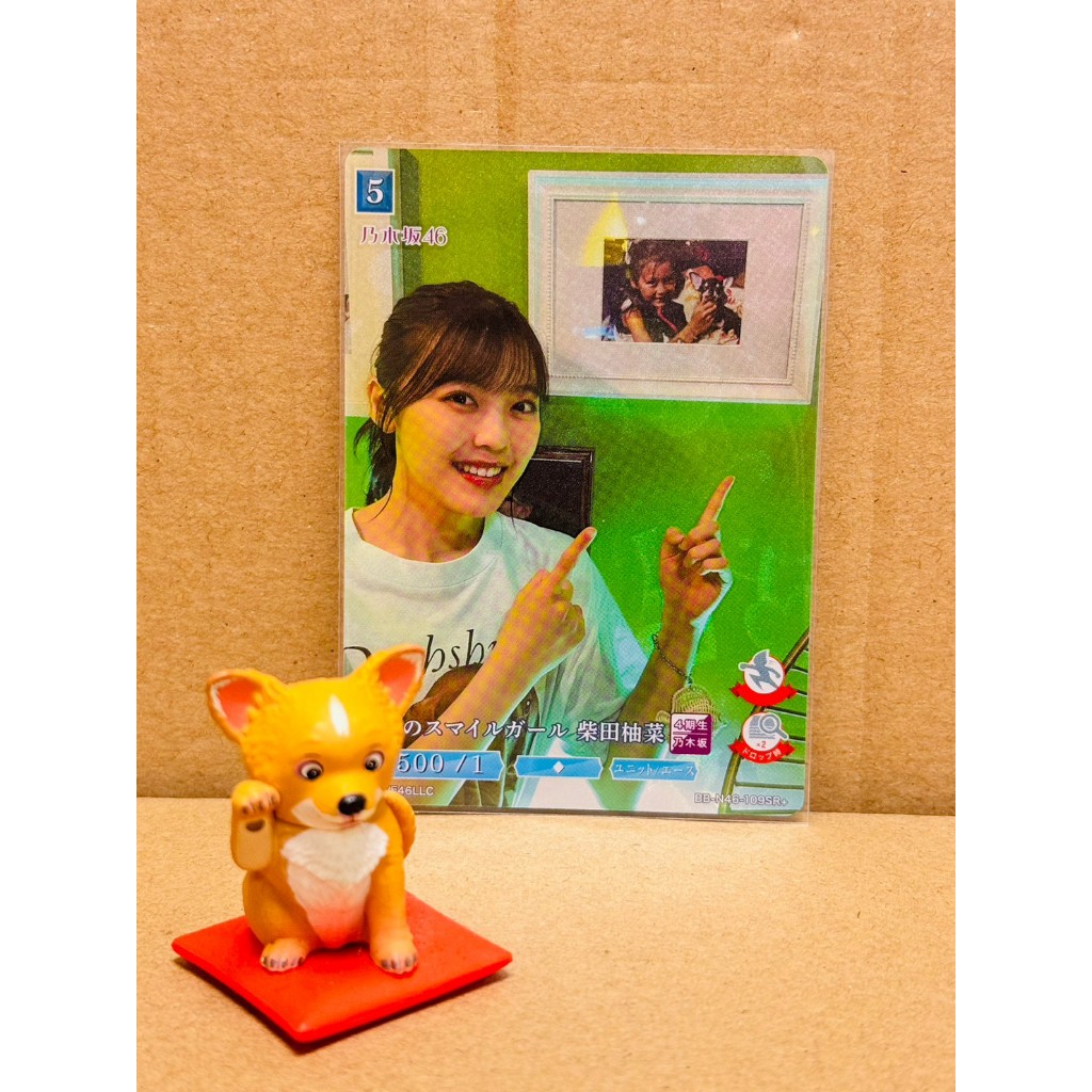 全新現貨 正版 創之界限 DBD 乃木坂46 N46 SR+ 柴田柚菜 BB-N46-109SR+ 閃卡 收藏卡 卡片 | 蝦皮購物