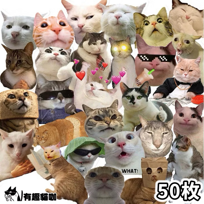 24h出貨⚡️多款50張 迷因貓貼紙 搞笑貓咪貼紙 meme梗圖 表情包 寫實貓咪貼紙 搞怪 防水貼紙 封口貼 筆電貼紙 | 蝦皮購物