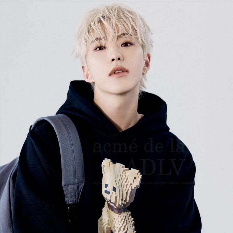 [預購]歐梵希🇰🇷韓國代購 韓國ADLV 人生巔峰acmé de la vie HOSHI聯名 樂高小熊 帽T | 蝦皮購物