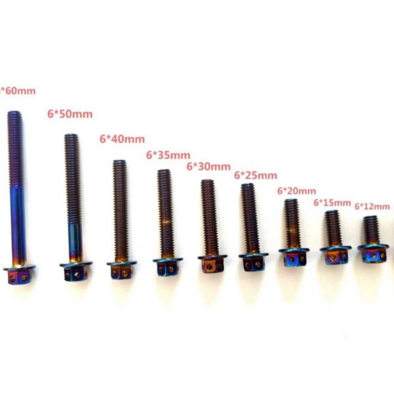 台灣出貨 M6-15mm 鍍鈦 燒鈦 螺絲 卡鉗螺絲 後扶手螺絲 鍍鈦螺絲 | 蝦皮購物