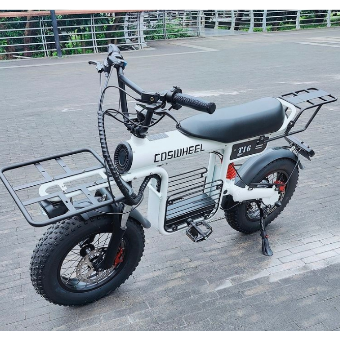 【天翼科技】Coswheel T16 48V 1000W 20A/25A 胖胎山地電動自行車越野電輔車 | 蝦皮購物