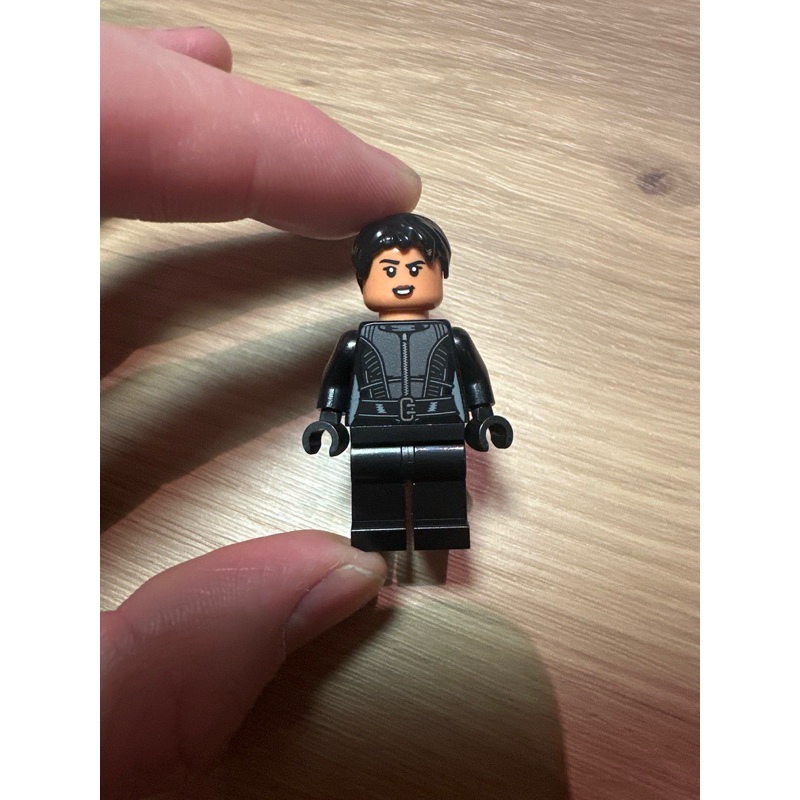 樂高 Lego 超級英雄 DC 76183 76179 貓女 Selena Kyle 瑟琳娜·凱爾 | 蝦皮購物