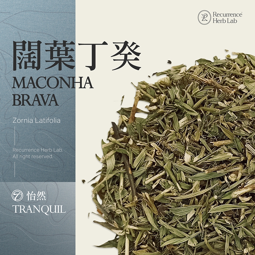 闊葉丁癸 Maconha Brava Zornia latifolia 乾燥 花 草 茶 原料｜本草・草本實驗室 | 蝦皮購物